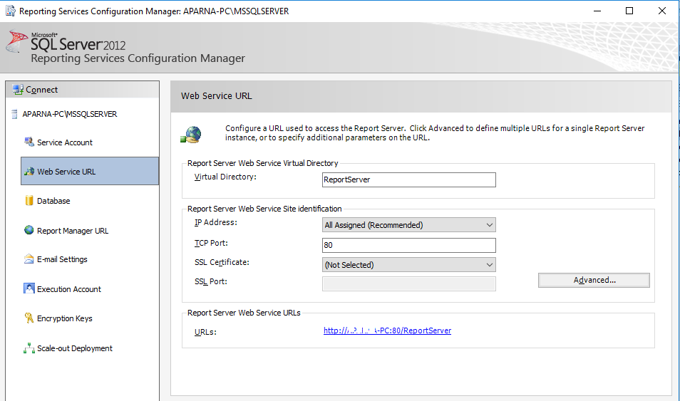How to Perform SSRS - Reporting With Rest APIs?